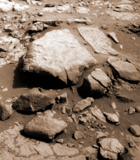 Curiosity GIFs - Get the best gif on GIFER