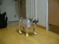 Walkin GIFs - Get the best gif on GIFER