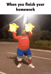 Fin GIFs - Get the best gif on GIFER