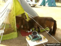 Uninvited GIFs - Get the best gif on GIFER