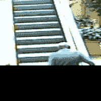 Escada GIF - Conseguir o melhor gif em GIFER