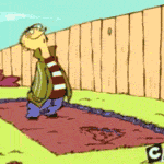 Ip GIFs - Get the best gif on GIFER