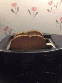 Toast GIFs - Get the best gif on GIFER