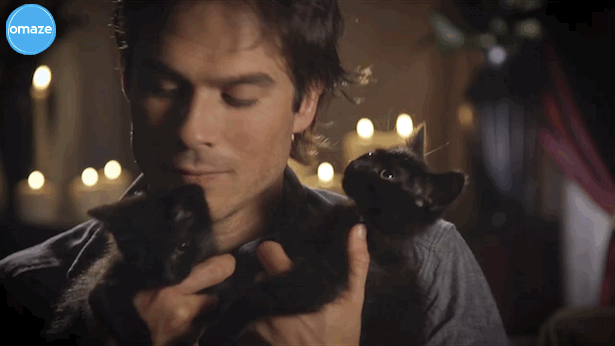 Damon vampire diaries GIF - Conseguir o melhor gif em GIFER