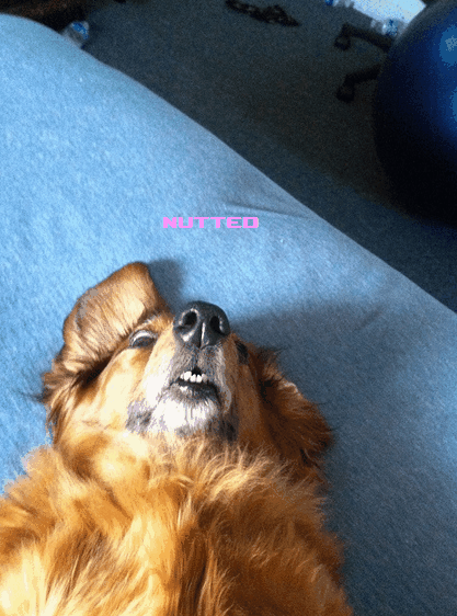 Grafting GIF - Conseguir o melhor gif em GIFER