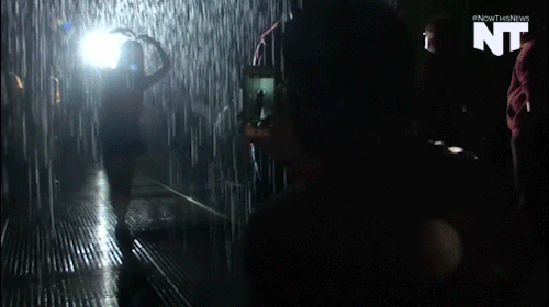 Niiiice GIFs - Get the best gif on GIFER