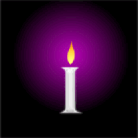 Feder GIFs - Get the best gif on GIFER