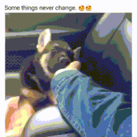Clothe GIFs - Get the best gif on GIFER