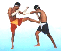 Kickboxing GIFs - Get the best gif on GIFER