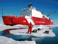 Arctic GIFs - Get the best gif on GIFER