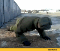 Soviet GIFs - Get the best gif on GIFER