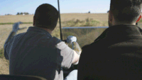 Protesis GIFs - Get the best gif on GIFER