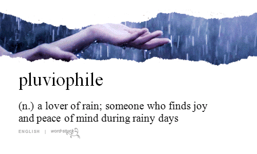 Pluviophile GIFs - Get the best gif on GIFER