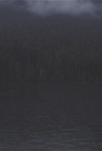 Vertical GIFs - Get the best gif on GIFER