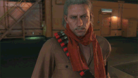 Ocelot GIFs - Get the best gif on GIFER