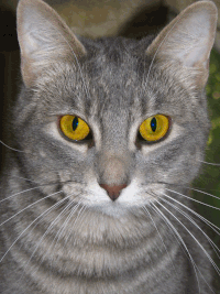 Winking GIFs - Get the best gif on GIFER