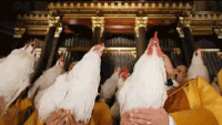 Choir GIFs - Get the best gif on GIFER