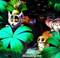 Madagascar GIFs - Get the best gif on GIFER