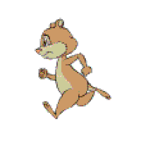 Ardilla GIFs - Get the best gif on GIFER