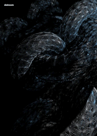 Slow GIFs - Get the best gif on GIFER