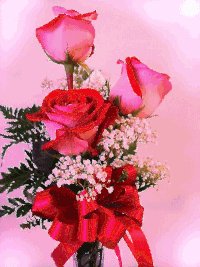 Roses GIFs - Get the best gif on GIFER