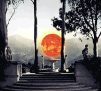 Collage GIFs - Get the best gif on GIFER