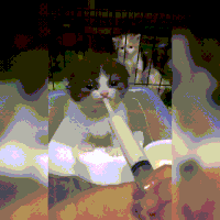 Mjum GIFs - Get the best gif on GIFER