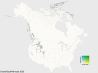 D20 GIFs - Get the best gif on GIFER