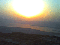 Israel GIFs - Get the best gif on GIFER