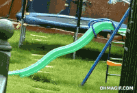 Jumping dog GIFs - Get the best gif on GIFER
