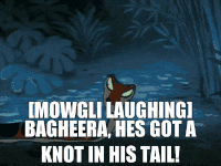 Bagheera GIFs - Get the best gif on GIFER
