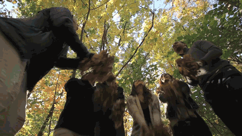 Tossing leaves GIF - Conseguir o melhor gif em GIFER