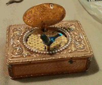 Swiss GIFs - Get the best gif on GIFER