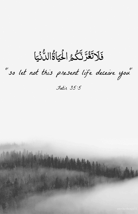 Surat GIFs - Obtenez le meilleur gif sur GIFER