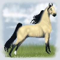 Posting GIFs - Get the best gif on GIFER