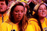 Wisconsin GIFs - Get the best gif on GIFER