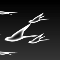 Flock GIFs - Get the best gif on GIFER