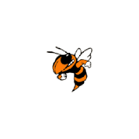 Bee GIFs - Get the best gif on GIFER
