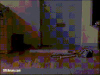 Womp GIFs - Get the best gif on GIFER