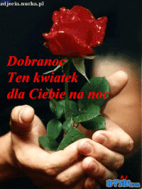 Rotfl GIFs - Get the best gif on GIFER