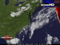 Track GIFs - Get the best gif on GIFER