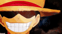 Onepiece GIFs - Get the best gif on GIFER