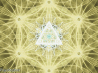 Ancestor GIFs - Get the best gif on GIFER