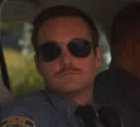 Postman GIFs - Get the best gif on GIFER