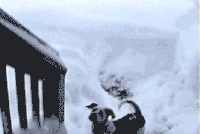 Tremors GIFs - Get the best gif on GIFER