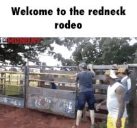 Redneck GIFs - Get the best gif on GIFER