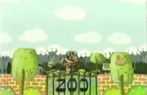 Zoo GIFs - Get the best gif on GIFER