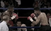 Boxing GIFs - Get the best gif on GIFER