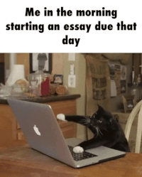 Essay GIFs - Get the best gif on GIFER