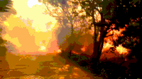 Wildfire GIFs - Get the best gif on GIFER